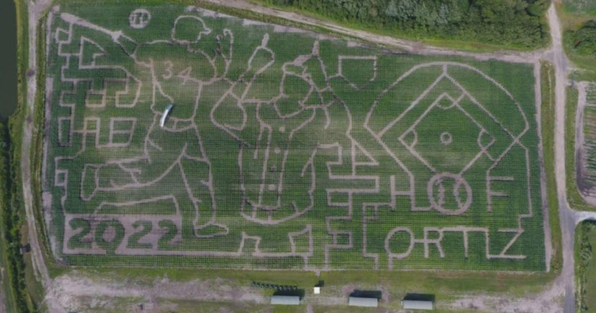 Plympton farmer ready for fall with corn maze honoring David Ortiz ...