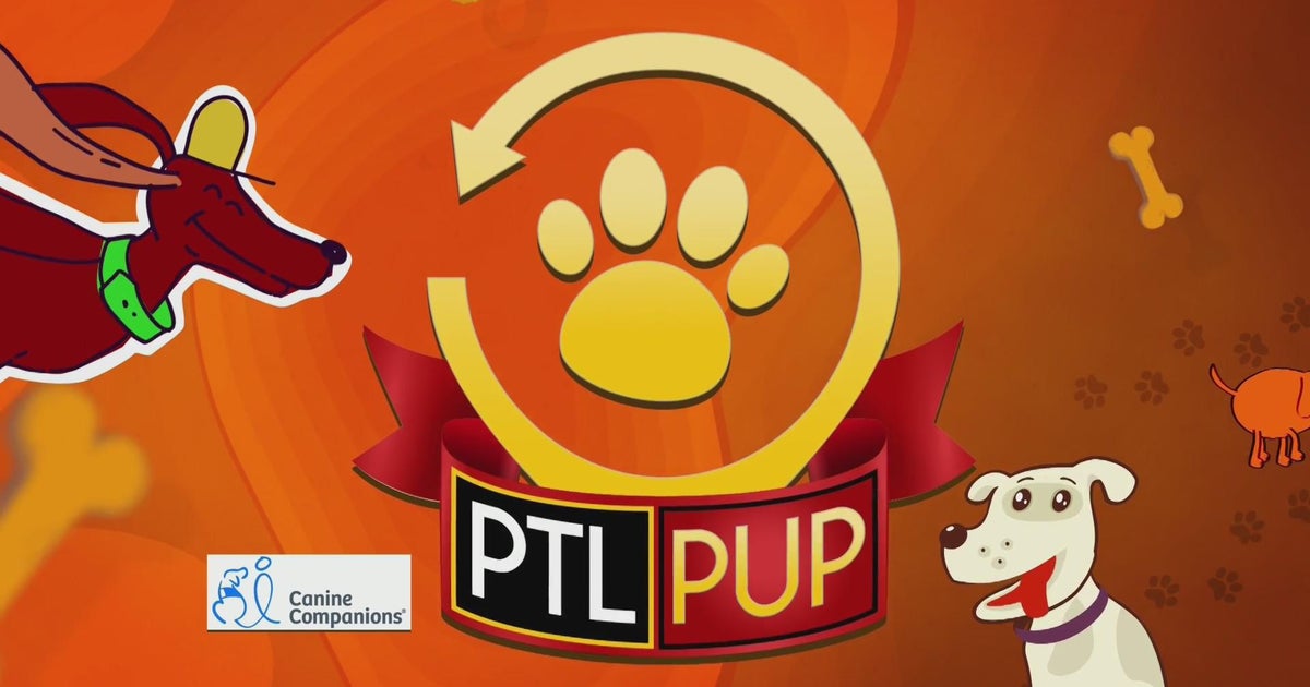 PTL Pupdate: Donny turns 1! - CBS Pittsburgh