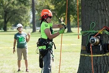 Competitive tree climbing at Belle Isle - CBS Detroit