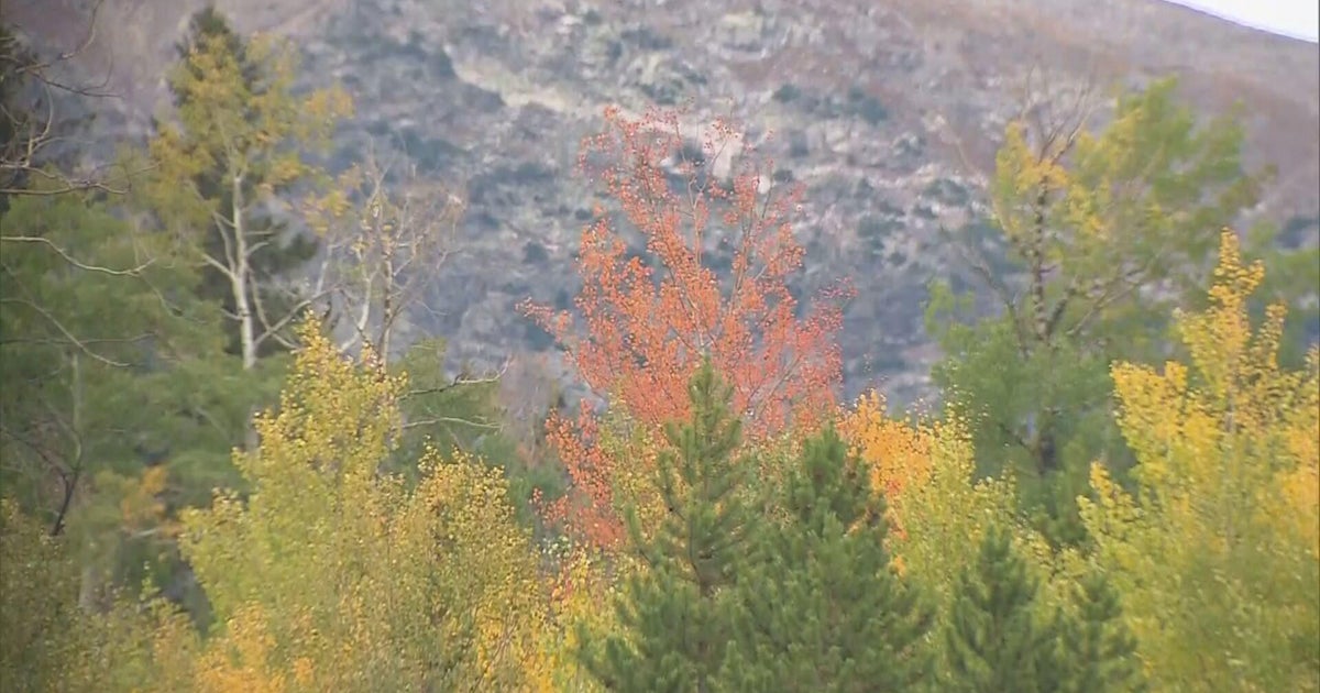 Late leaf peeping this year? Experts weigh in on why we might be seeing ...