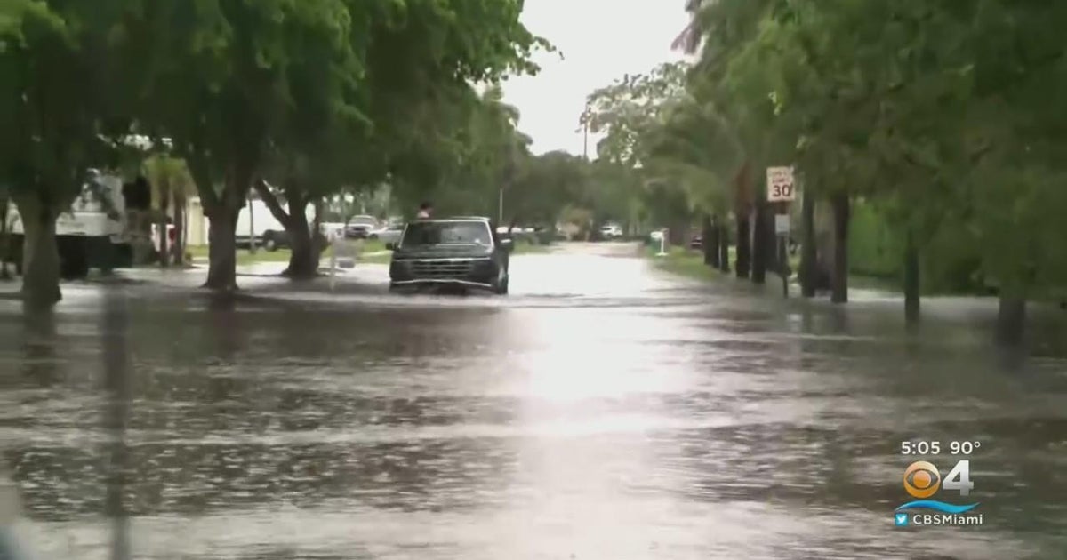 Now is the time to plan, prepare as TD9 heads to Florida - CBS Miami