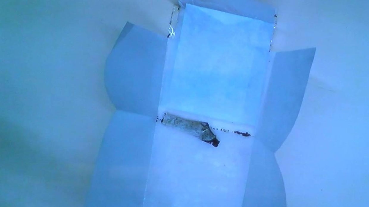 Lori Ann Slesinski murder: Disappearance of Alabama college grad tied ...