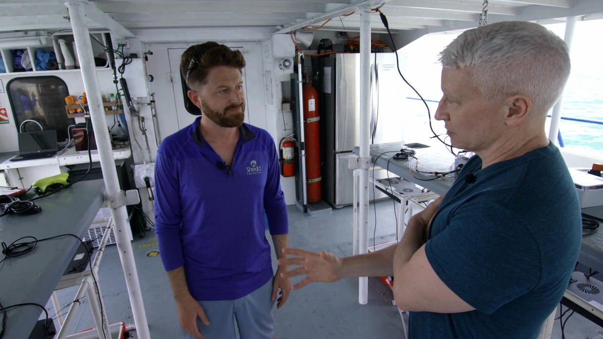 New innovations attempting to rescue coral reefs ~ ZooKeeper