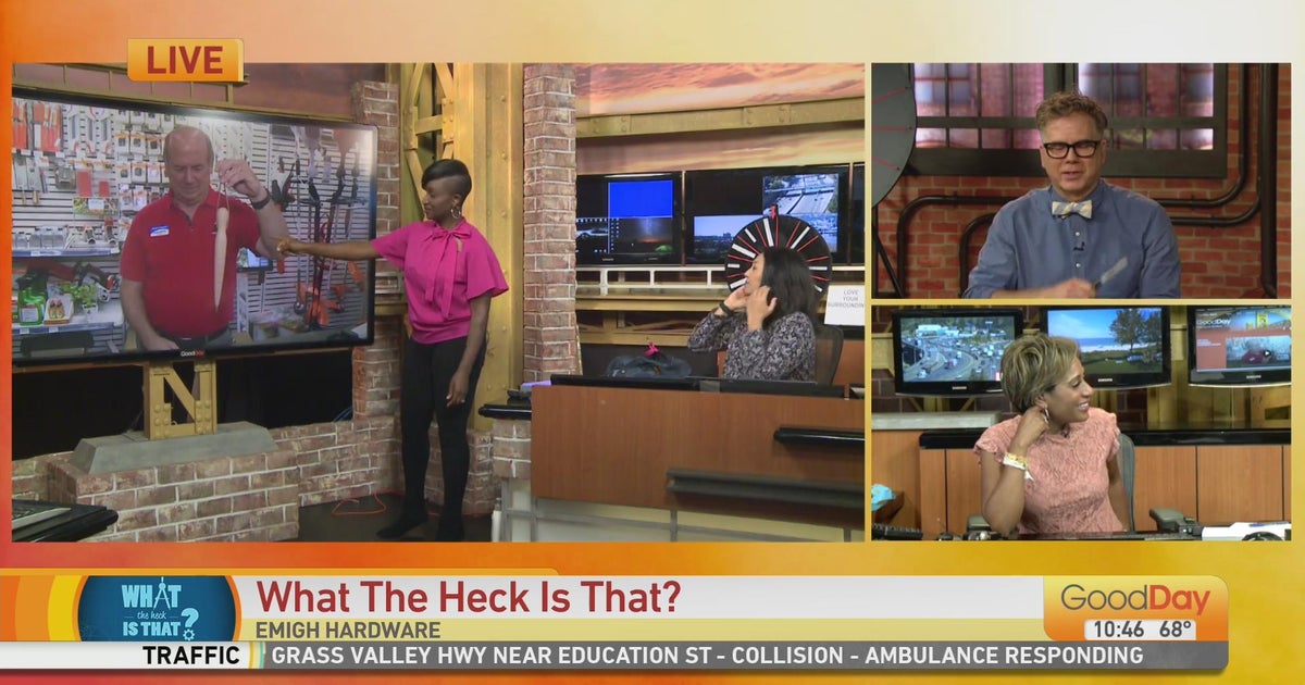 What the Heck is That? (Part 2) - Good Day Sacramento