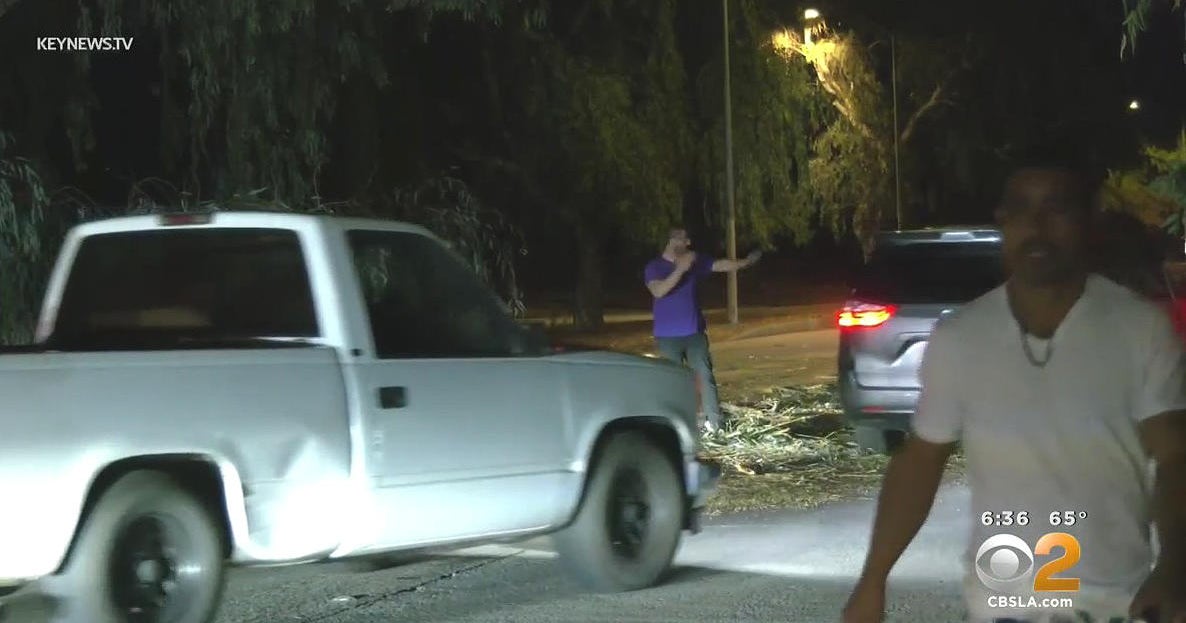 Several vehicles damaged after running over tree that fell onto Burbank ...