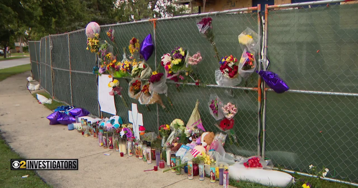 In wake of Oak Forest murder-suicide, domestic violence prevention ...
