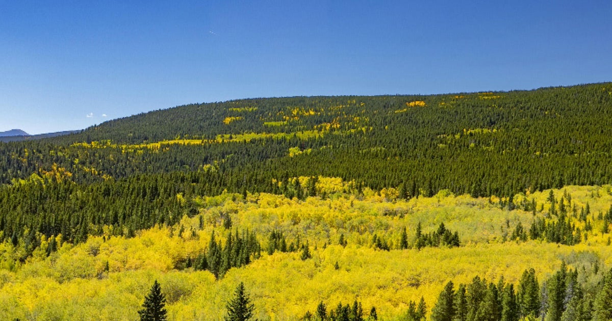 Share your Colorado fall colors photos with CBS News Colorado - CBS ...