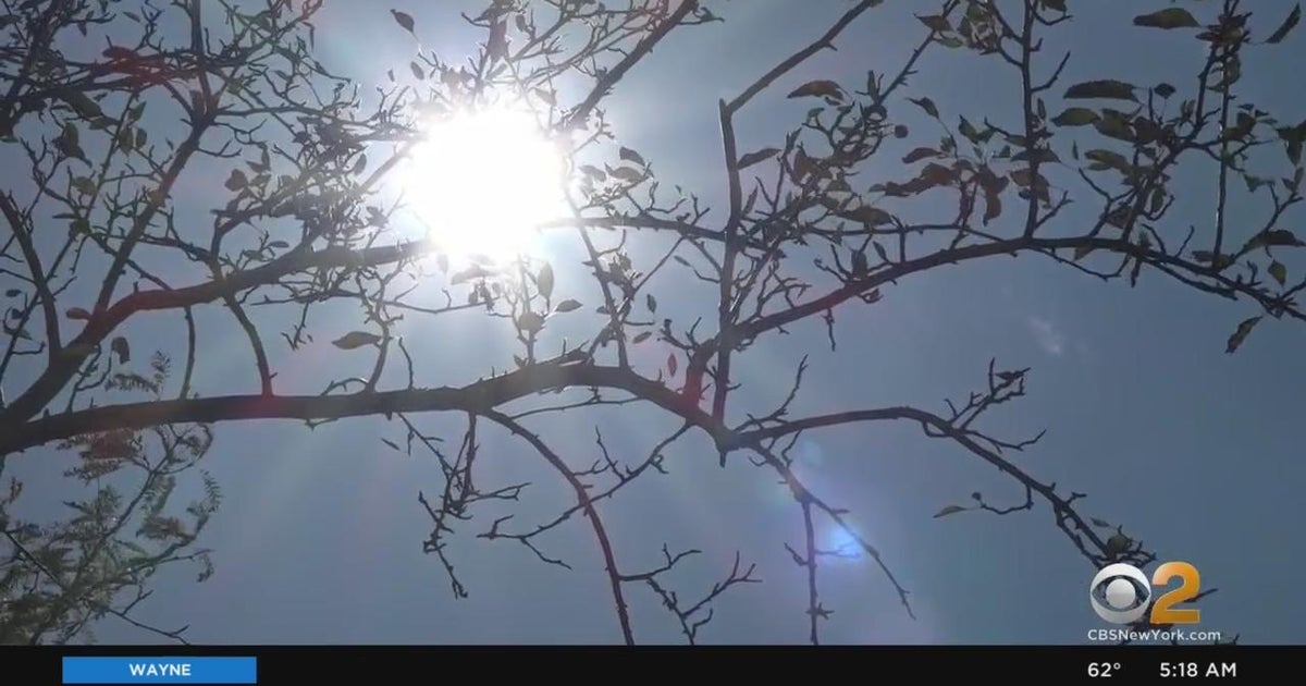 Queens officials asking residents where they want trees - CBS New York