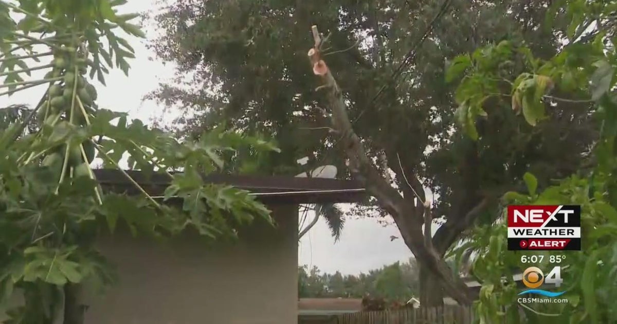 Cooper City begins clean-up process in aftermath of Hurricane Ian - CBS ...