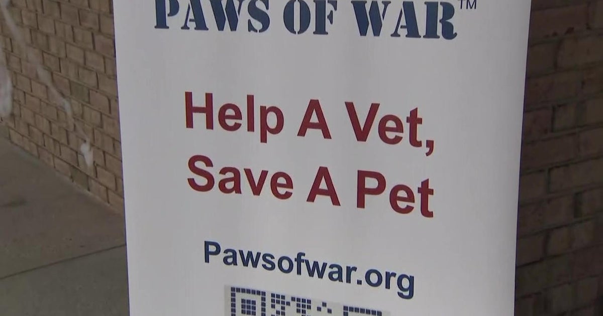 Paws of War pairs puppies rescued from deplorable conditions in ...