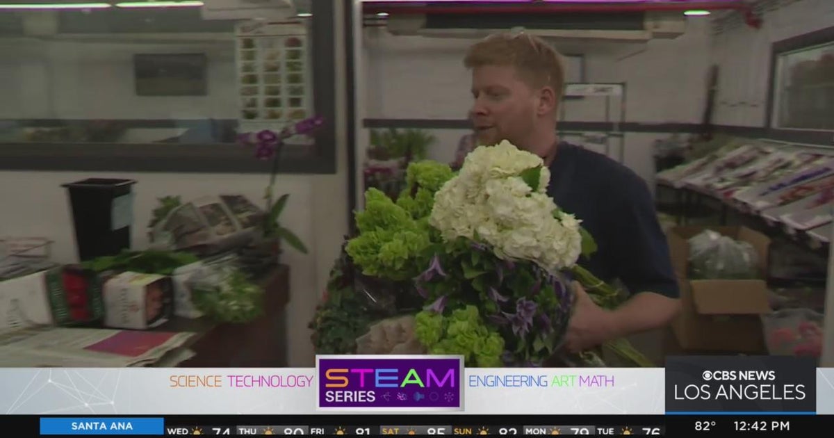 STEAM: Meet Jean-Pascal Lemire, a Florist - CBS Los Angeles