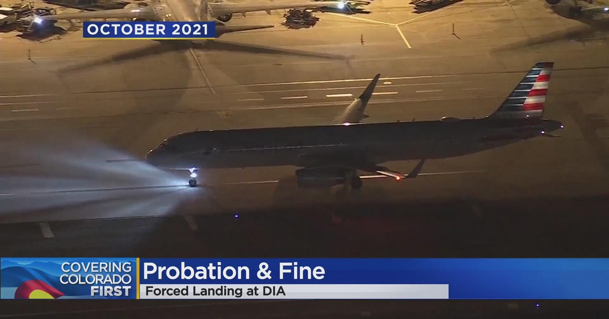 Brian Hsu pleads guilty to attacking flight attendant, sentenced to ...