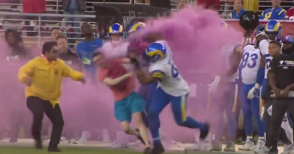 Animal rights protester tackled during 49ers game files police report ...