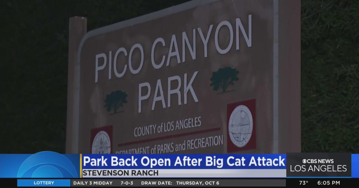 Pico Canyon Park reopened after mountain lion attack - CBS Los Angeles