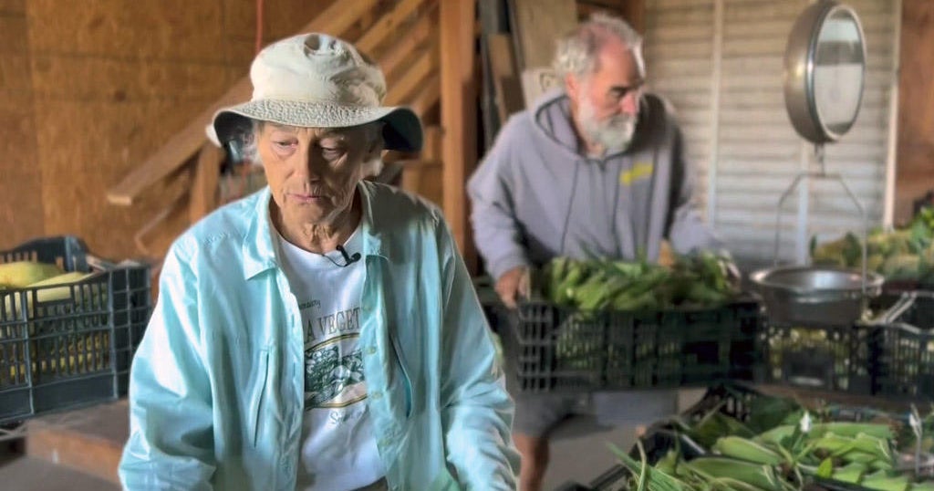 Aging growers looking to sell their farms stumped by lack of buyers ...