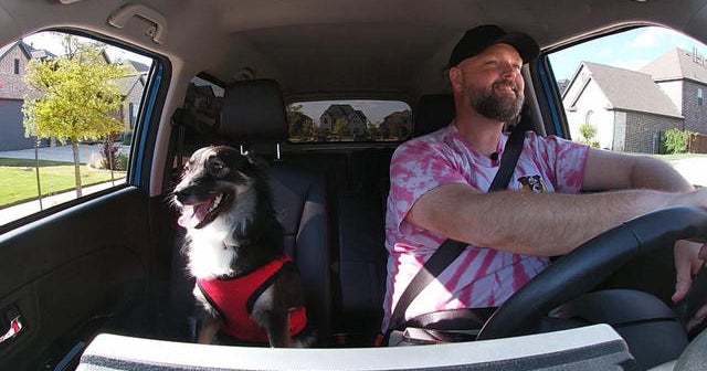 Meet the dog and salesman duo delivering homemade ice cream to their ...