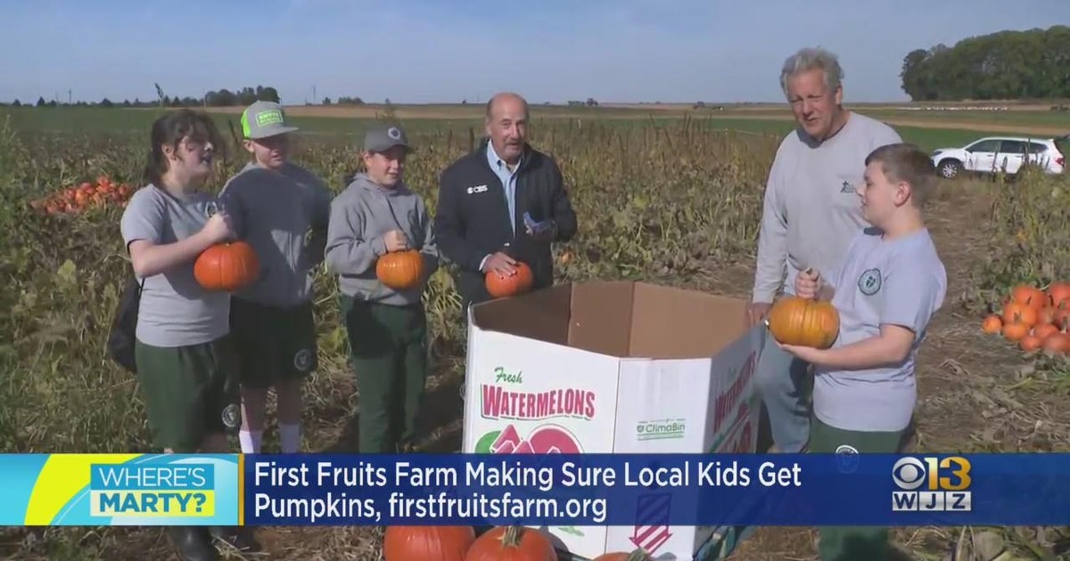 Where's Marty? With nonprofit helping harvest food for hungry - CBS ...