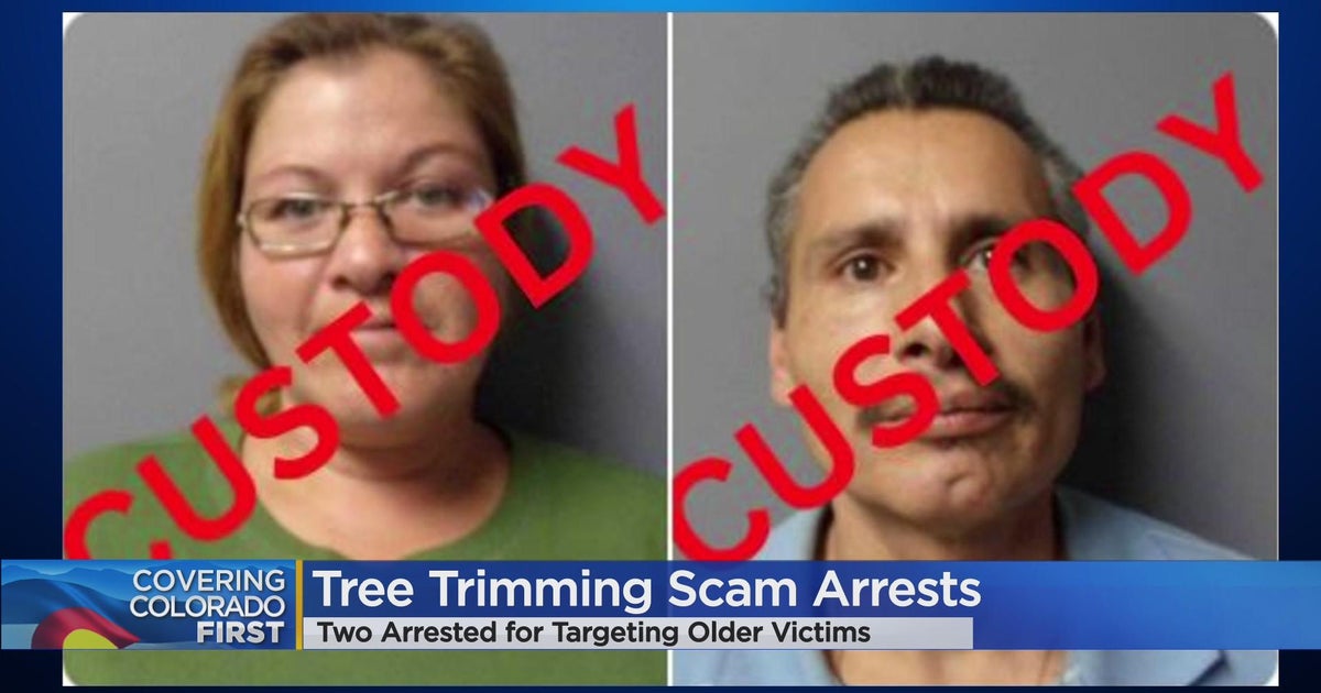Two arrested in tree trimming scam - CBS Colorado