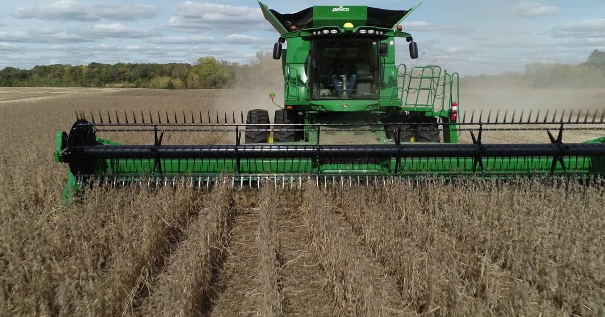 Winter Wheat U Of M Researchers Exploring Viability Of Cold Weather