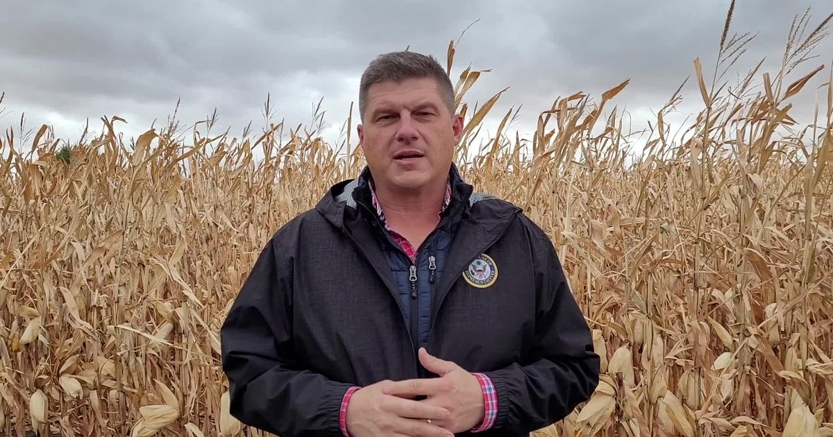 Brad Finstad: 2022 Election Guide - CBS Minnesota