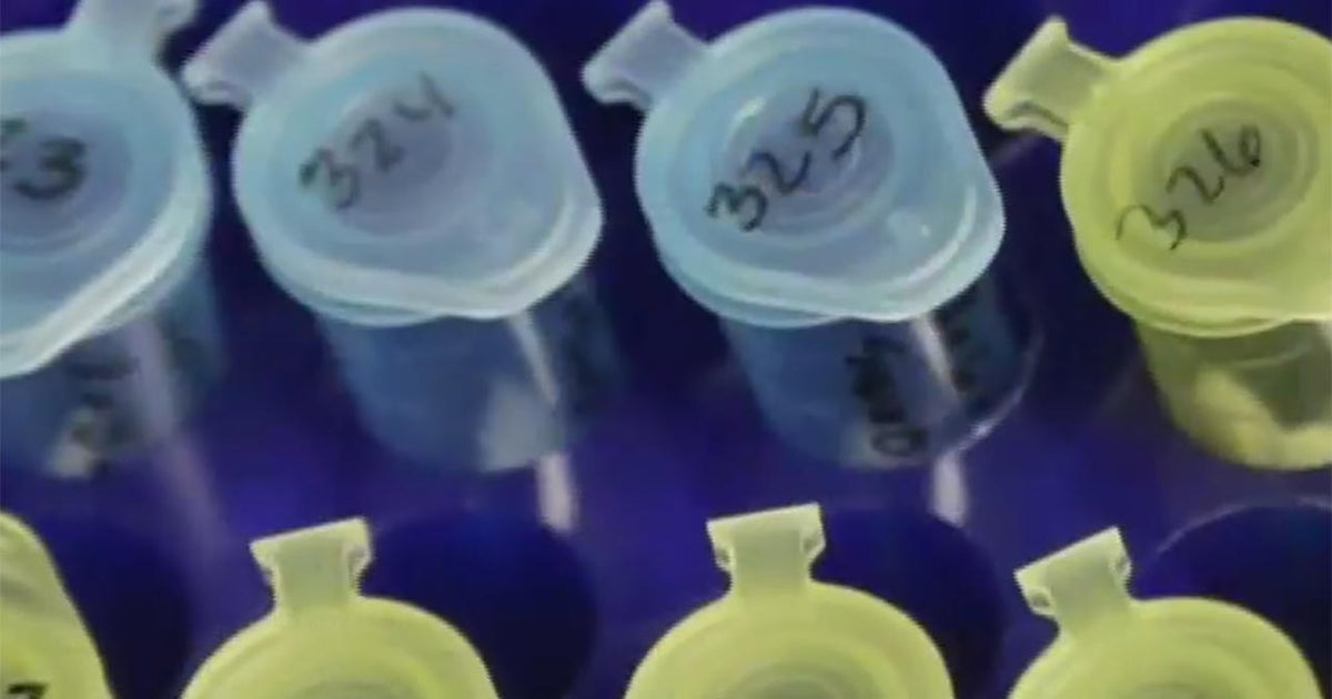 Sexual assault victim says DNA from her rape kit used against her by ...