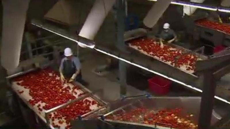 Tapping tomatoes: Central Valley processors making drinking water from ...