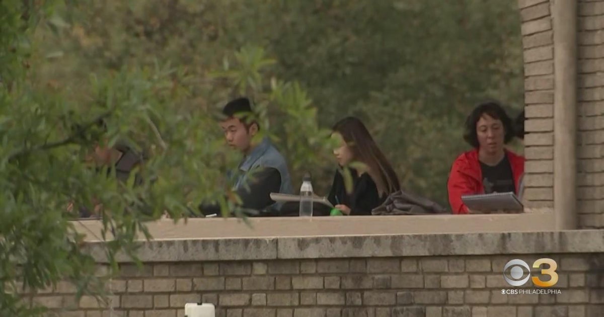 Free avocado giveaway at FDR Park due to surplus - CBS Philadelphia