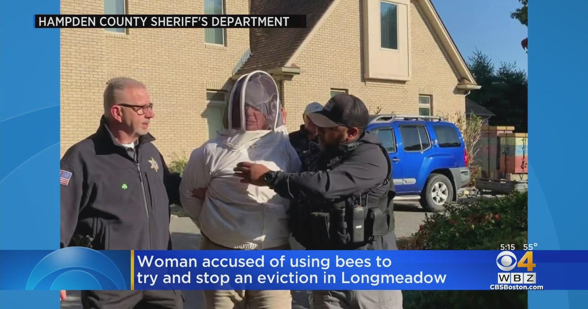 Woman accused of using bees to attack sheriff's deputies during ...