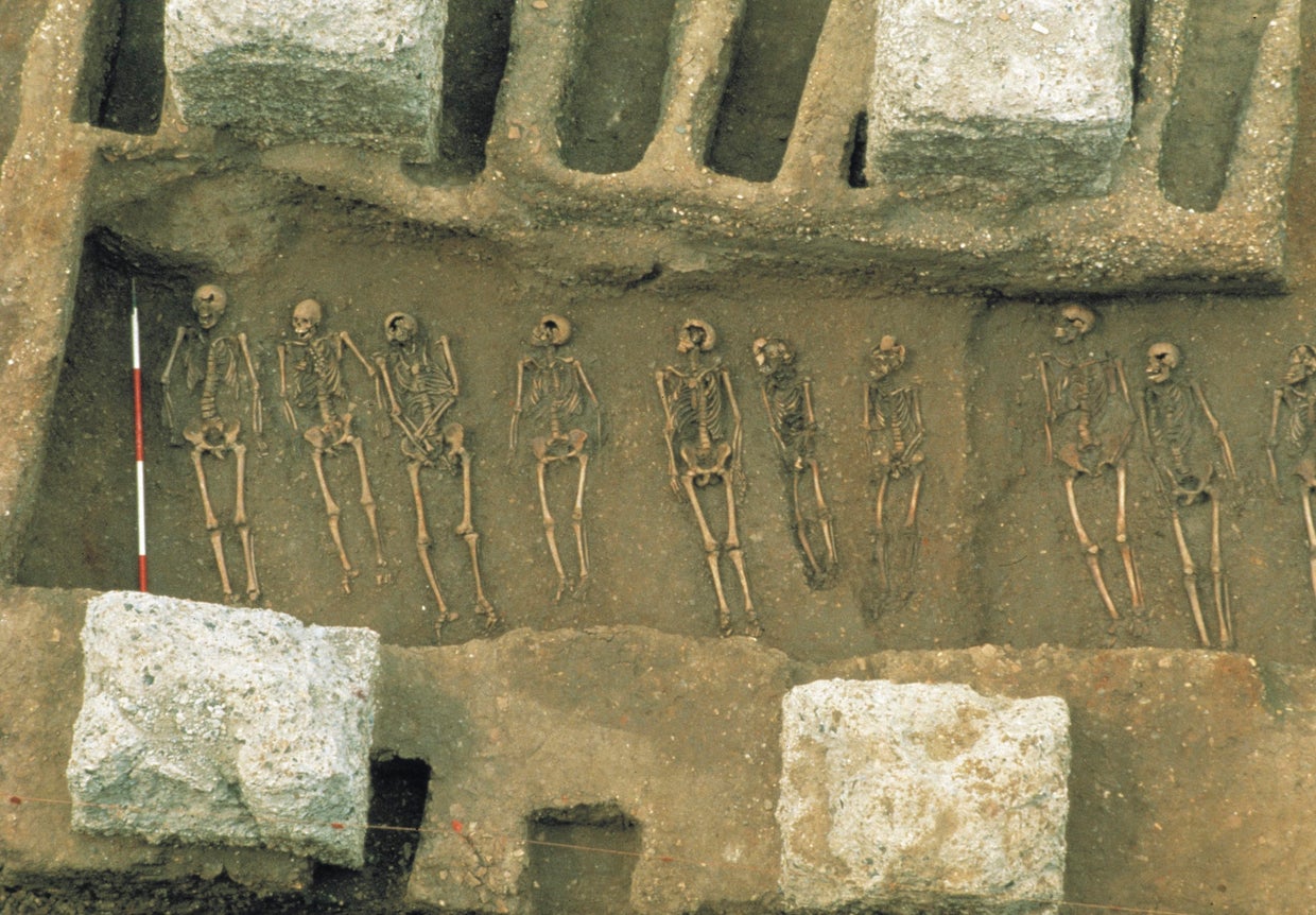 Centuries later, the Black Death still has a big impact on our immune ...