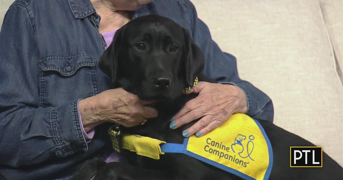 PTL Pupdate: Charlotte shows off the 'lap' command - CBS Pittsburgh