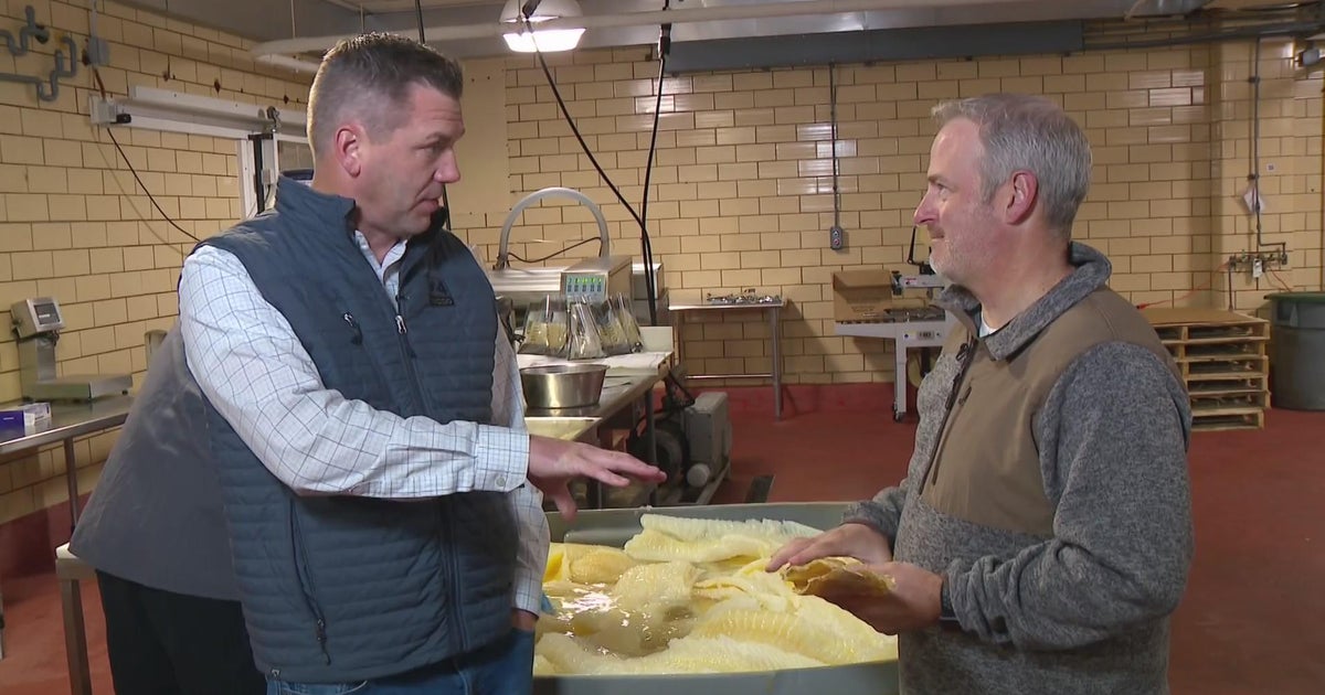 Finding Minnesota: The quirky, quixotic quest to turn palates on to ...