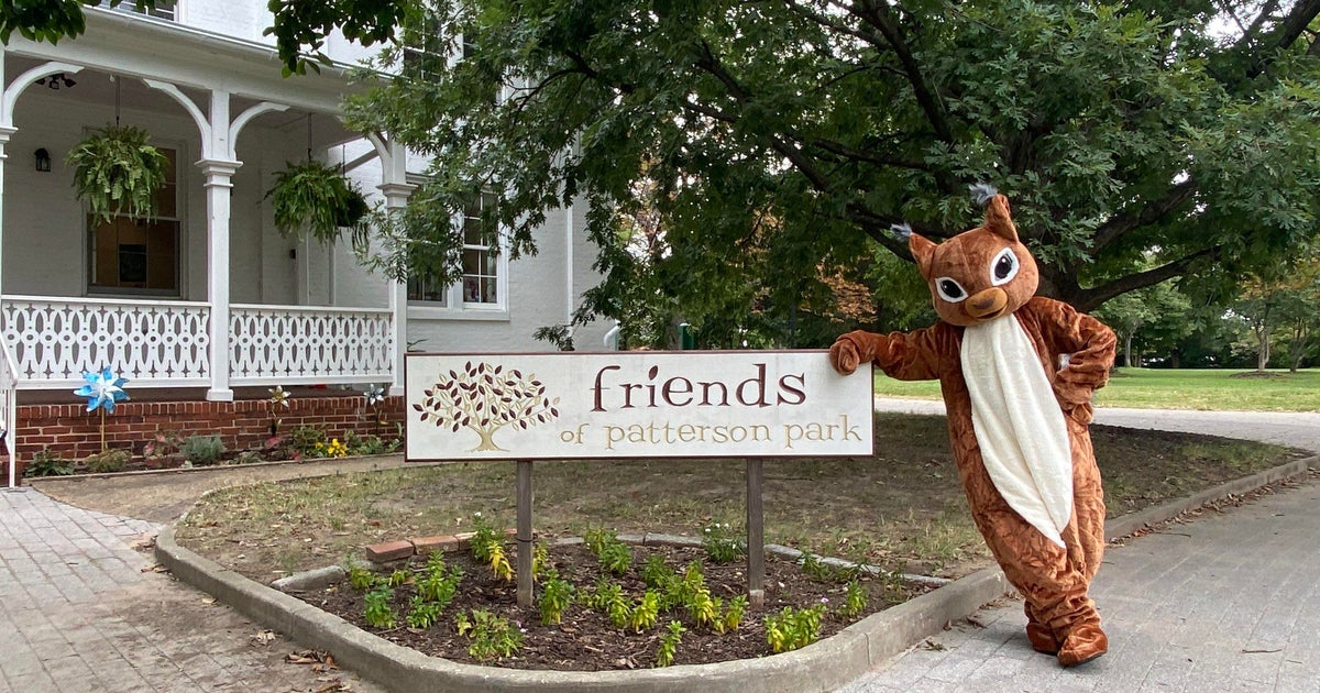 Patterson Park calls on community to name new mascot - CBS Baltimore
