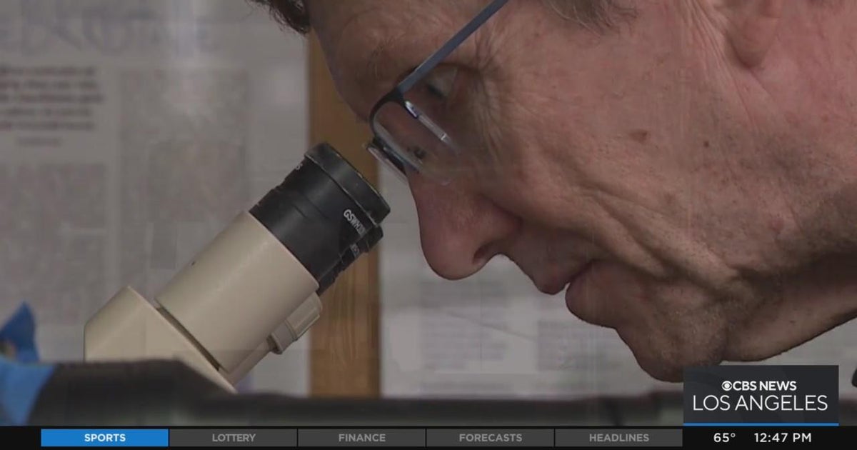 STEAM: Highlighting CalTech Dr. Kenneth Libbrecht, a snowflake ...