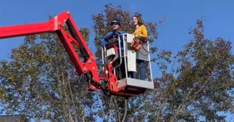 Science of Weather: Tree Trimming - CBS Detroit