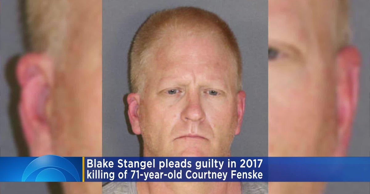Blake Stangel pleads guilty in 2017 killing of 71-year-old Courtney ...