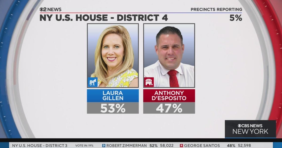 Congressional District 4 race on Long Island being closely watched ...