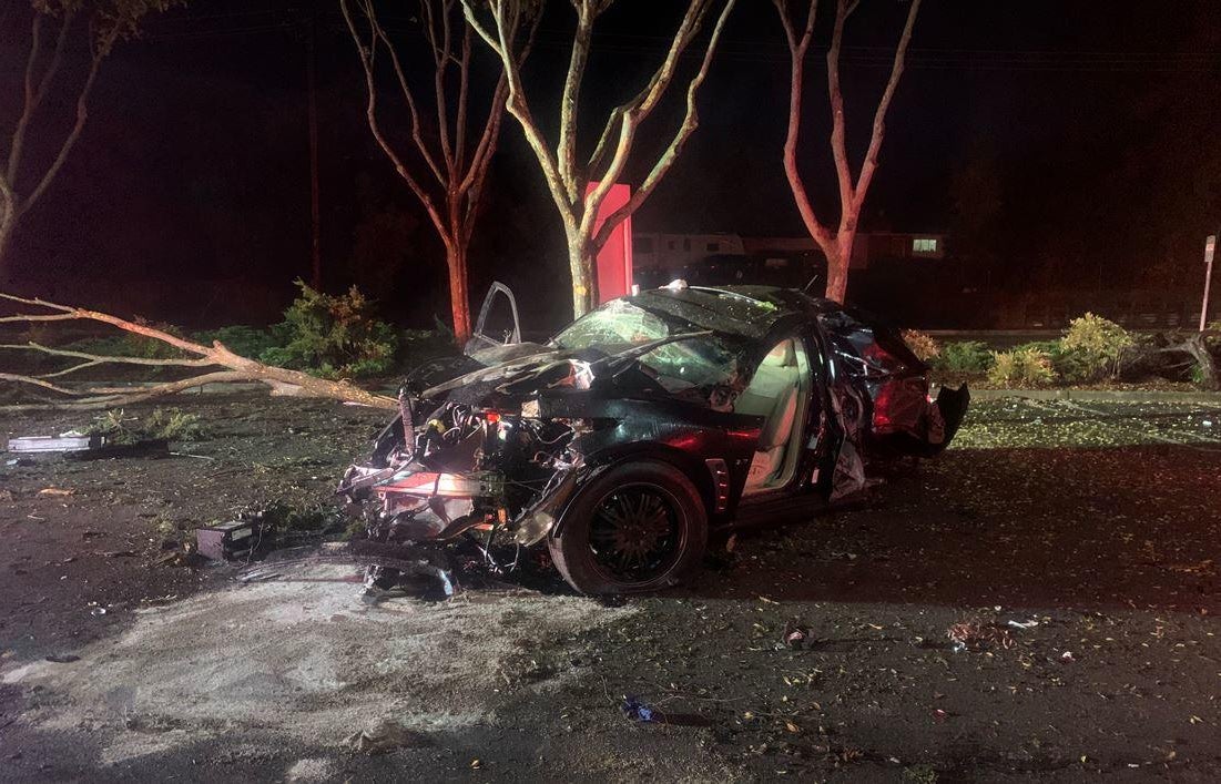 Speeding Car Smashes Into Tree Before Stopping In Santa Rosa Parking