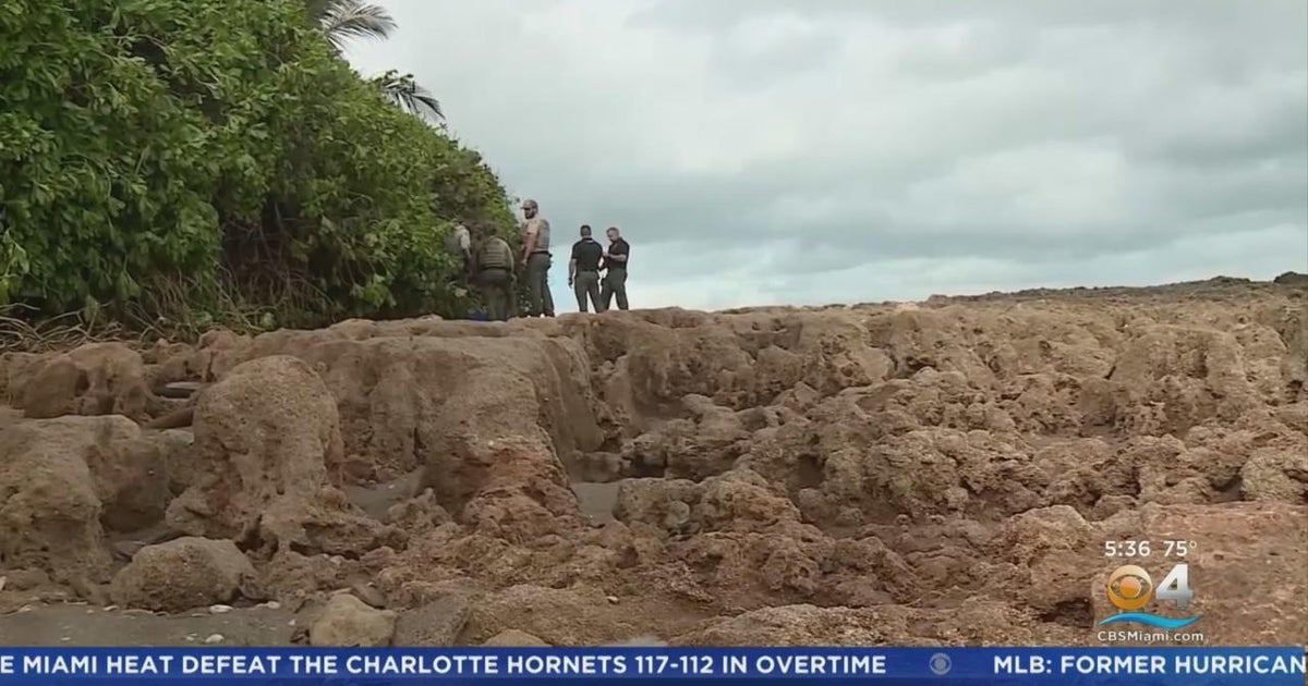 Beach erosion from Nicole unearthed human skulls on Hutchinson Island ...