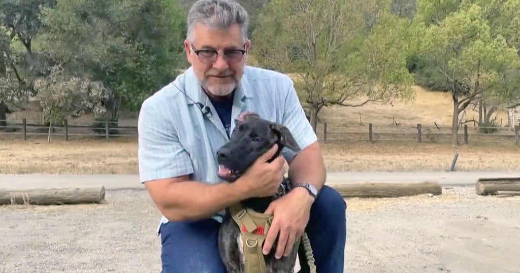 South Bay nonprofit puts animals and vets together for mutual therapy ...