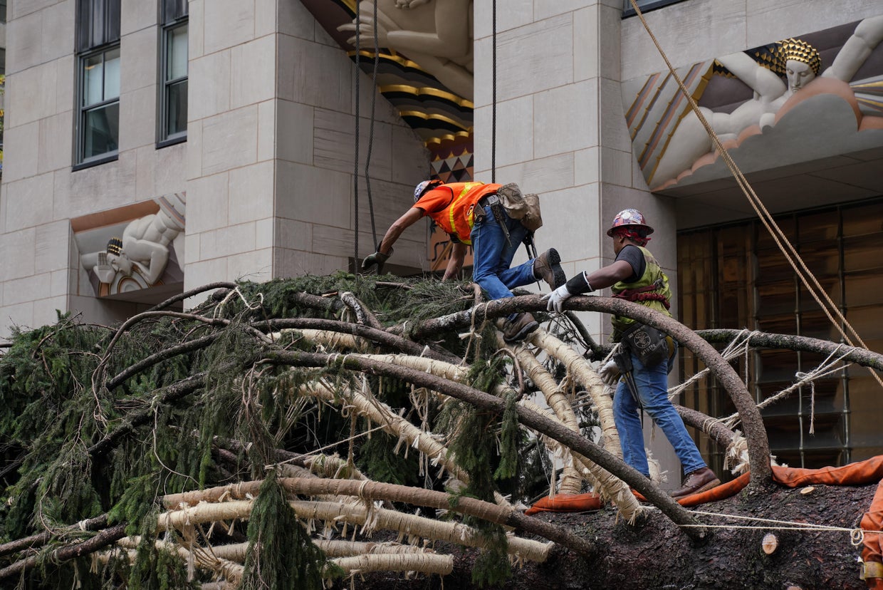 2022 Rockefeller Center Christmas tree arrives in Manhattan