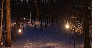 Michigan's Enchanted Borealis Trails offer festive hiking experience ...