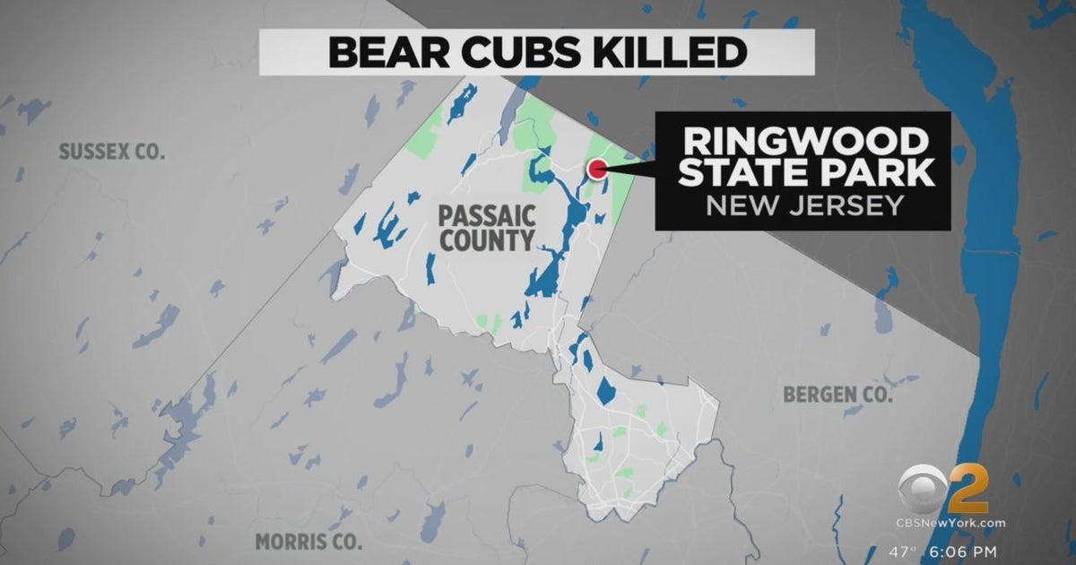 Man charged after 4 bear cubs found dead in New Jersey state park - CBS ...