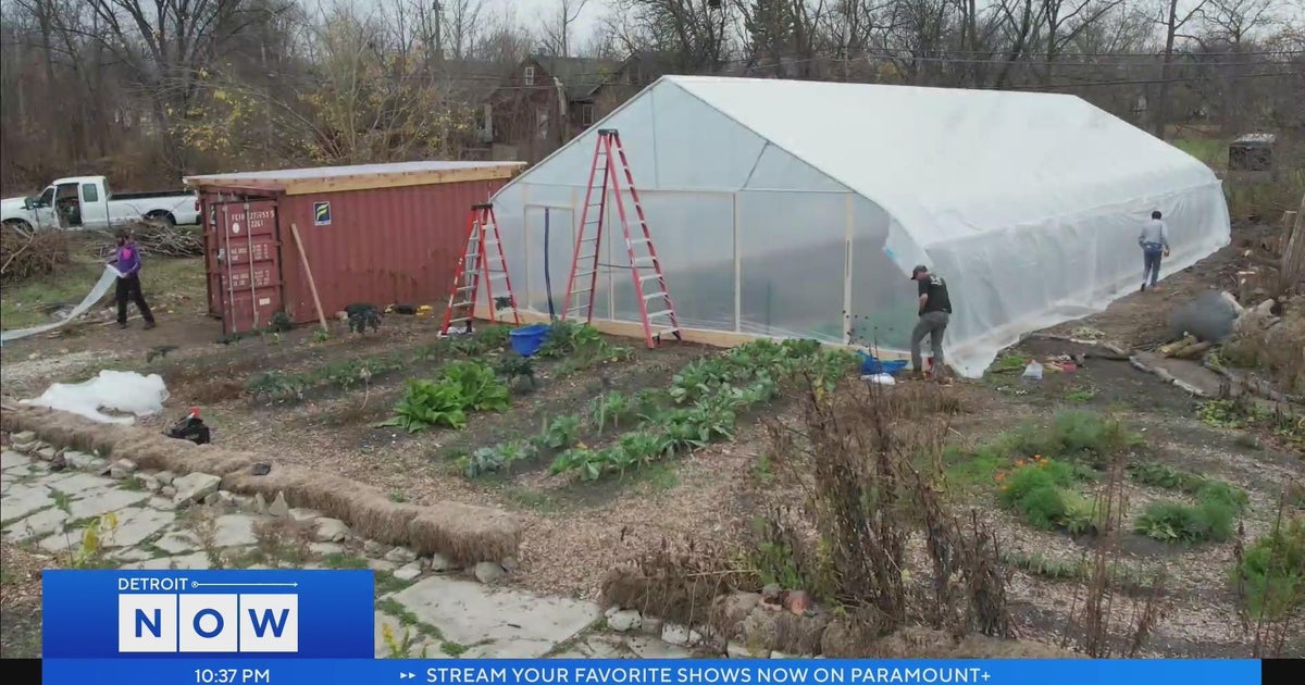 From farm to table: How urban farmers are helping food insecure ...