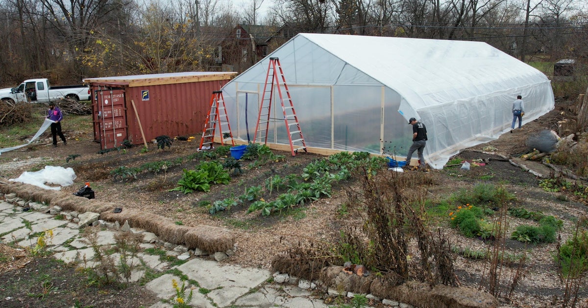 From farm to table: How urban farmers are helping food insecure ...