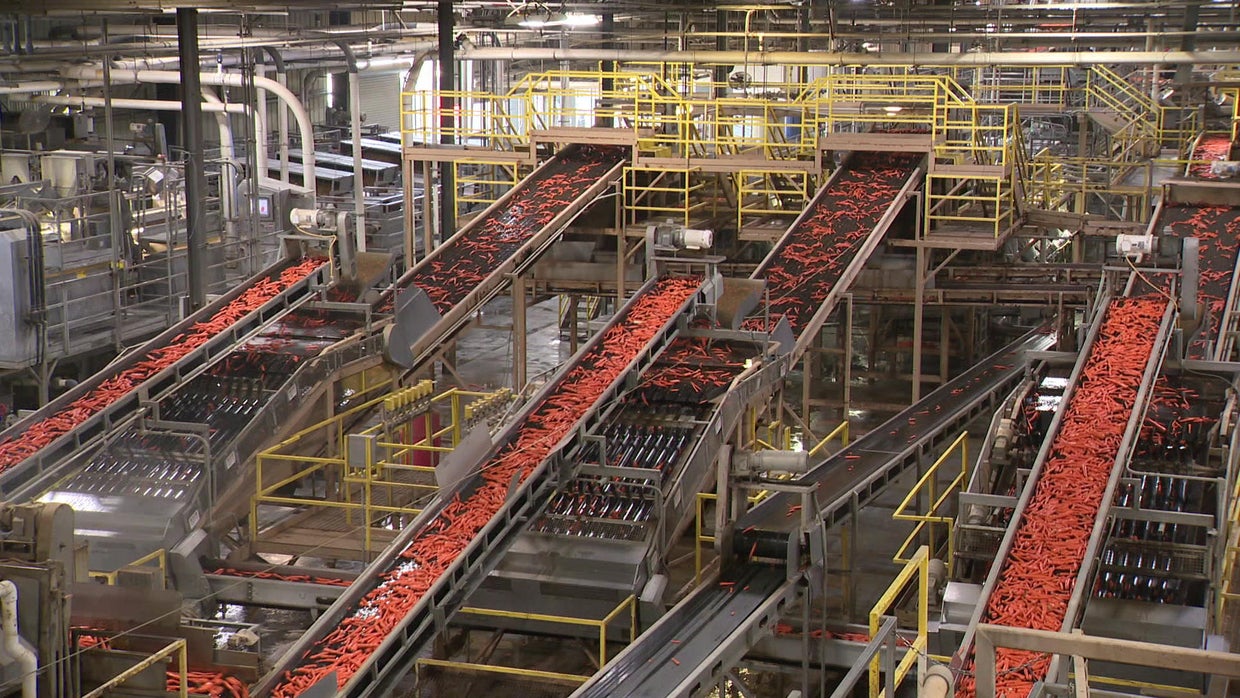 The secret behind baby carrots - CBS News