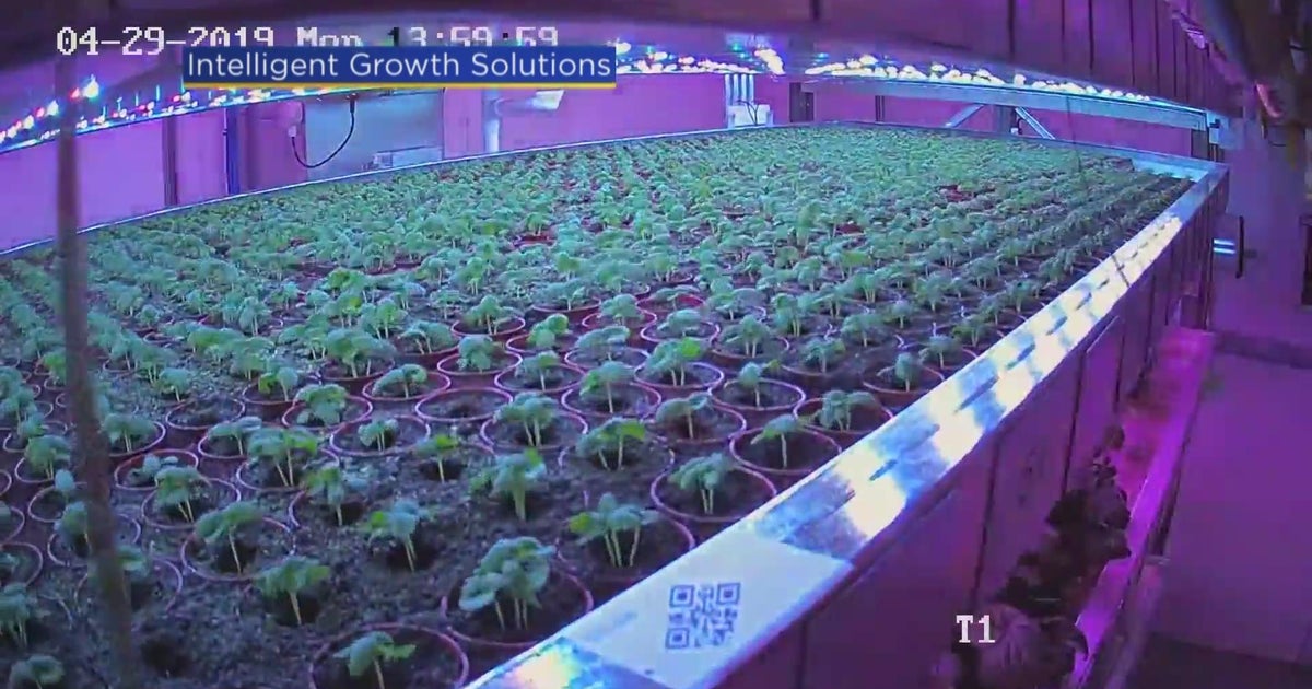 High-tech farming company picks Loveland to set up headquarters - CBS ...