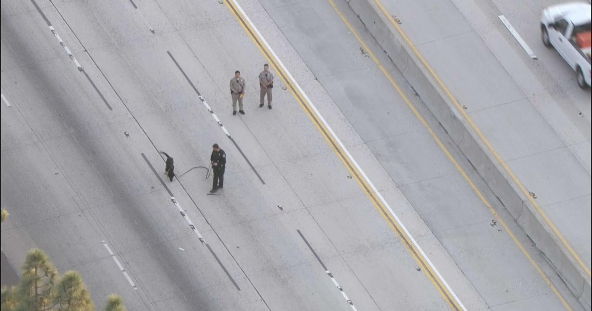 Northbound I-405 reopened after police investigate shooting in Van Nuys ...