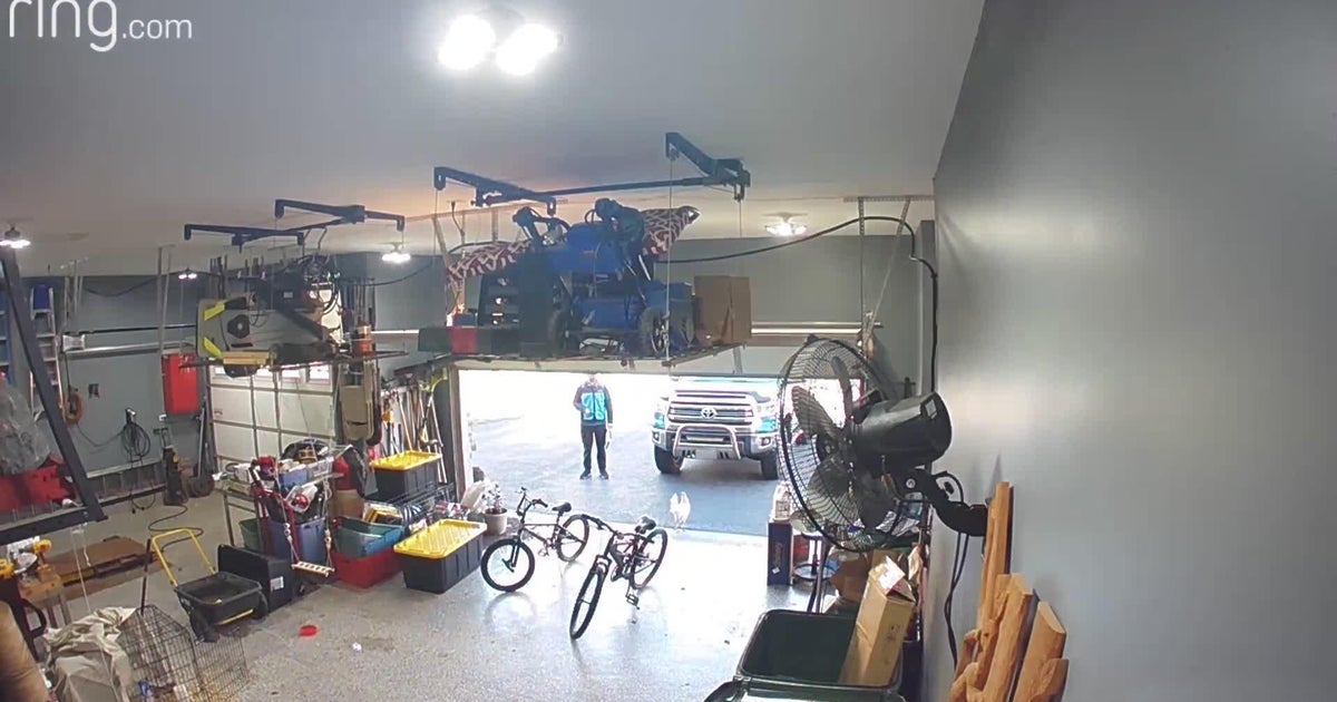 Delivery driver forms a bond with a garage chicken in hilarious video ...