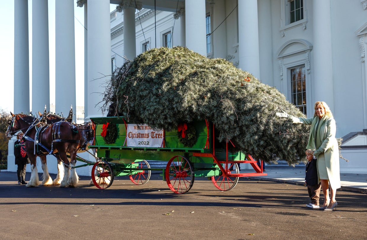 White House Christmas decorations celebrate "We the People"