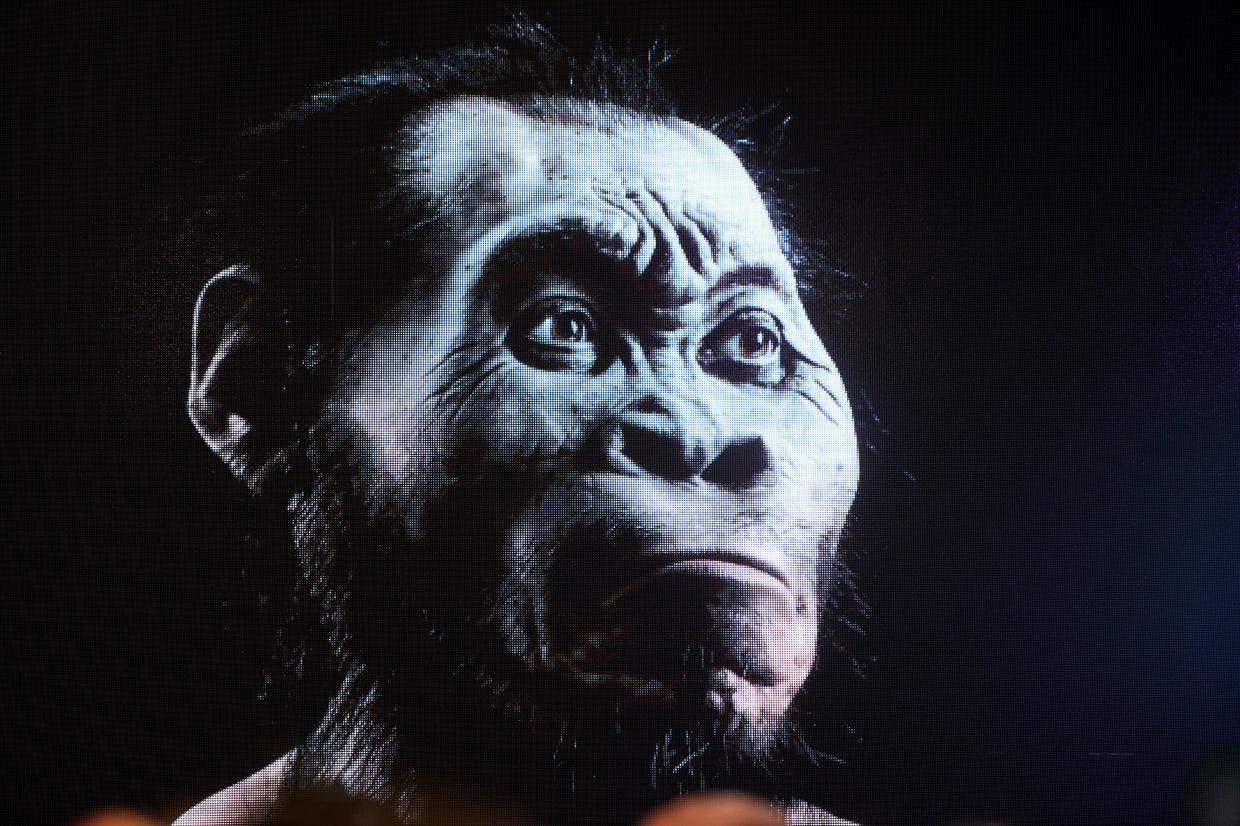 Scientists claim remarkable evidence that ancient human relatives ...